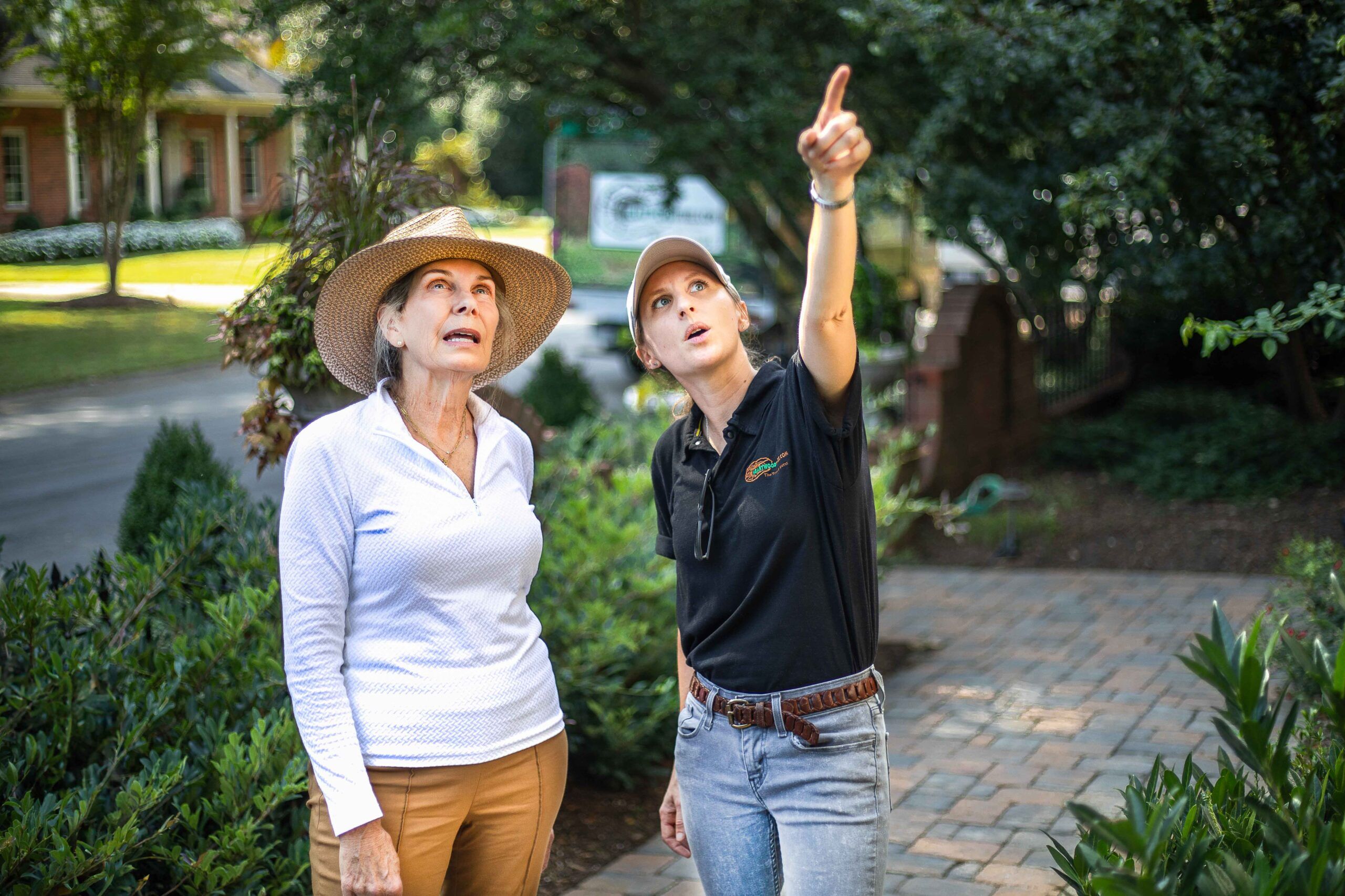 Tree Care Company in Charlotte, NC | Heartwood Tree Care